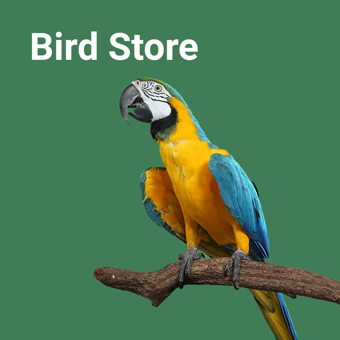 Bird Store - Smart Pet Kuwait