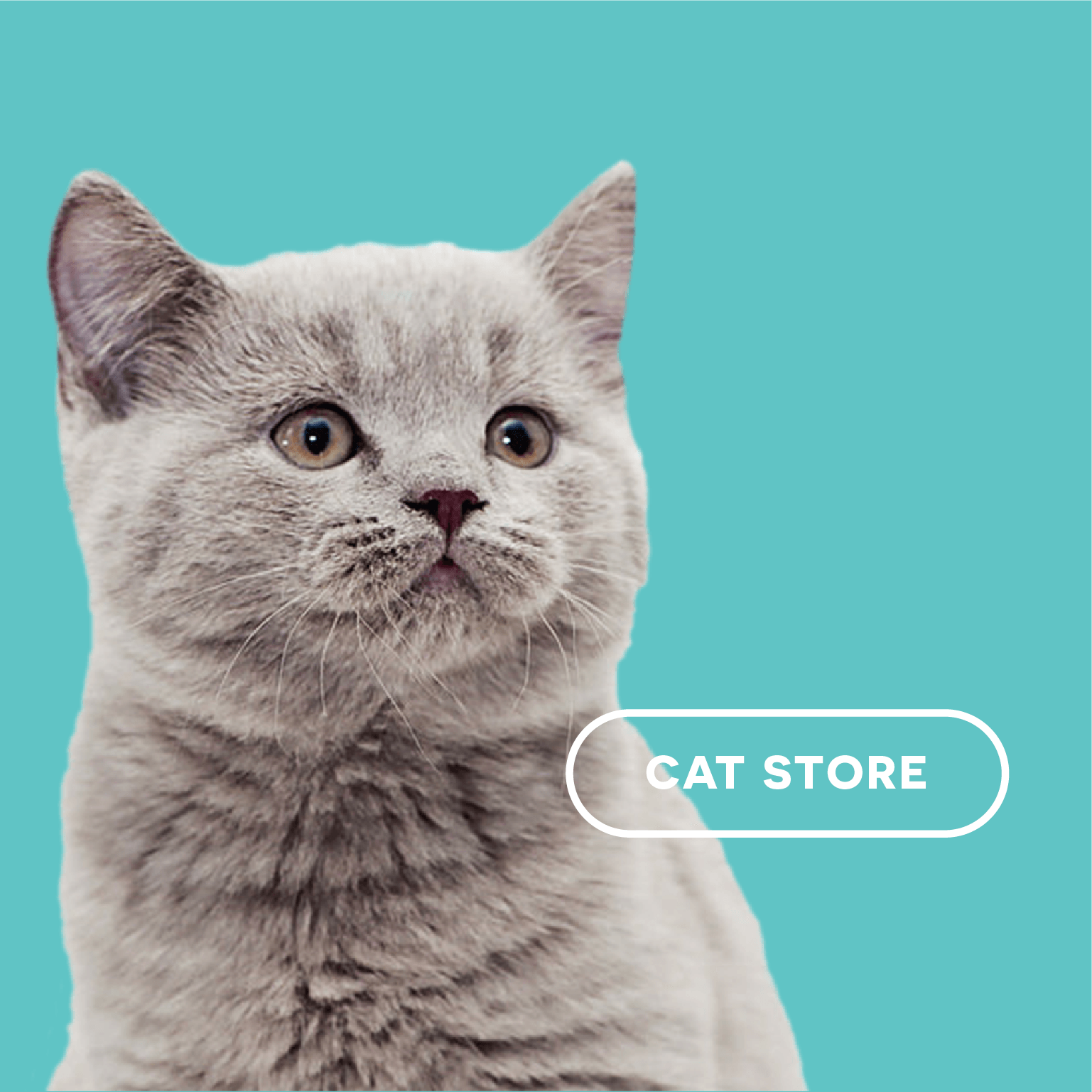 Pet Store in Kuwait - Smart Pet Kuwait - Pet Store and Supplies