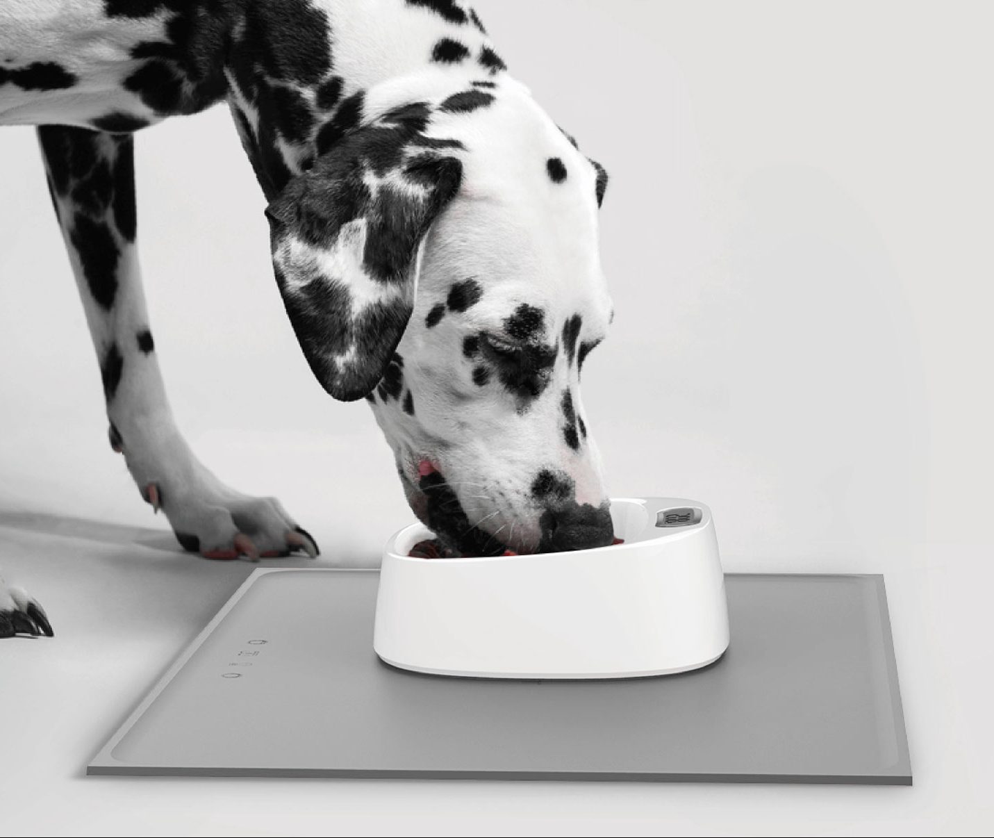 PetKit Water and Spill proof Mat - Smart Pet Kuwait