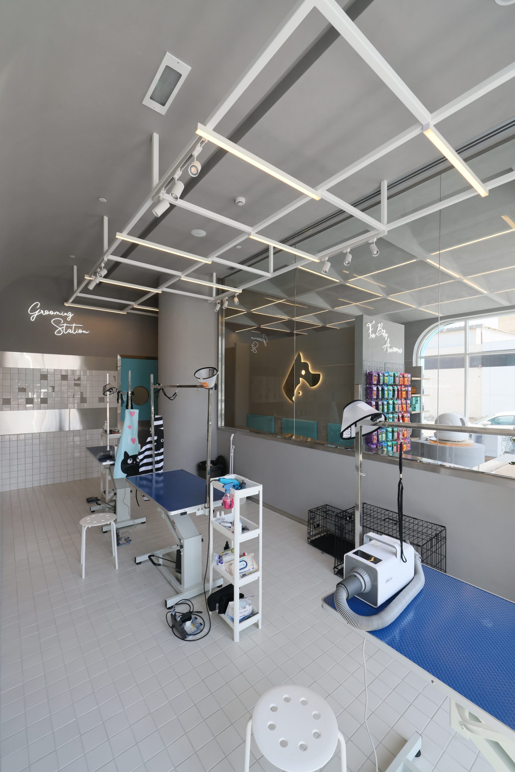 Best Pet Grooming in Kuwait - Smart Pet Kuwait