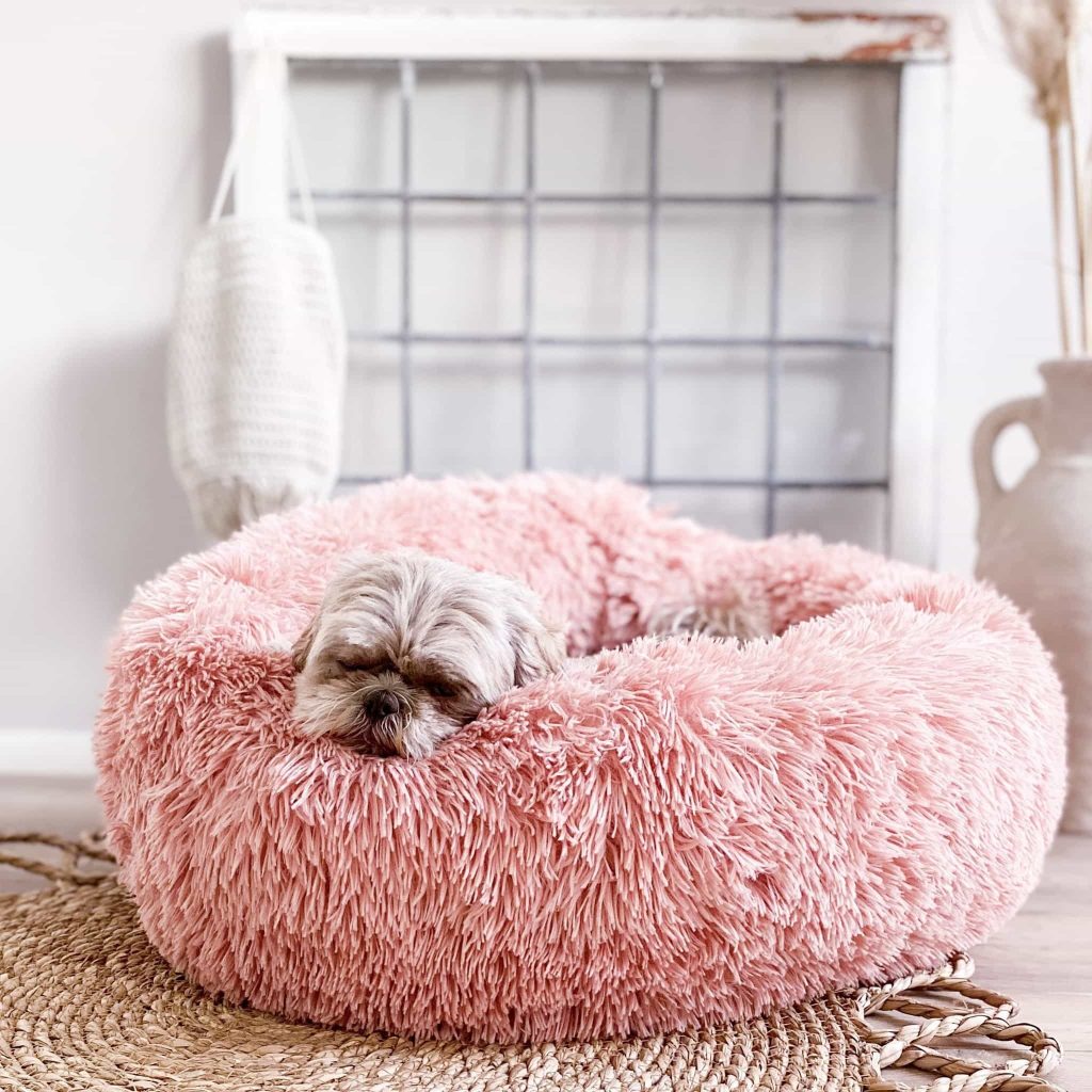 Cat Beds - Smart Pet Kuwait