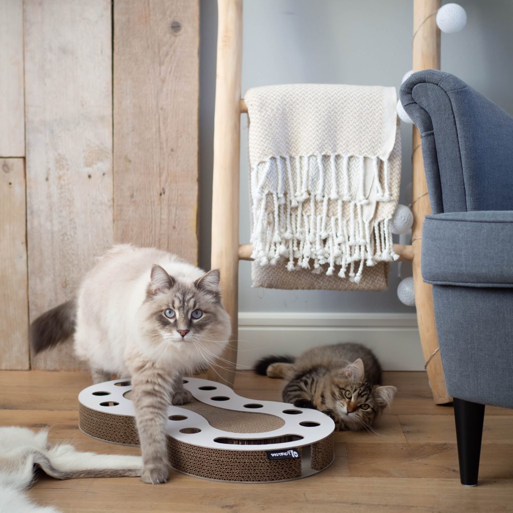 Cat Toys - Smart Pet Kuwait